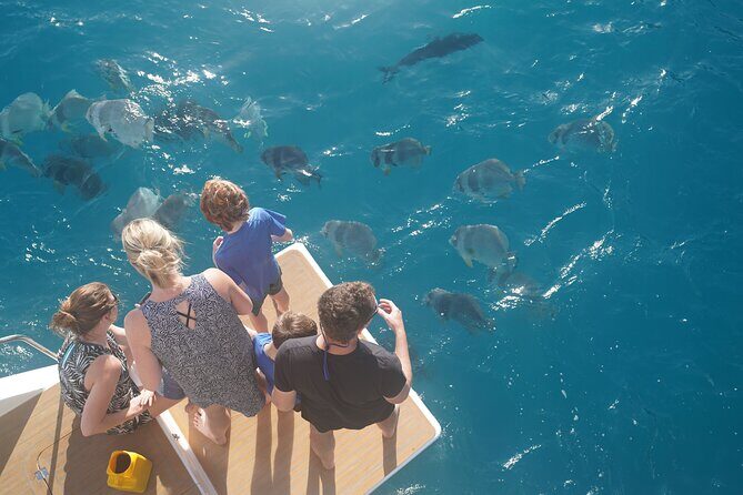 Private full day catered & crewed yacht charter- Airlie Beach - Final Thoughts: Is This the Right Choice?