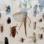 Private Full Day Darwin City Tour with Lunch and Pickup - Practical Details & Value