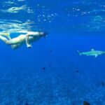 PRIVATE FULL DAY LAGOON TOUR - Bora Bora Cultural Lagoon Tour - Practical Details That Matter