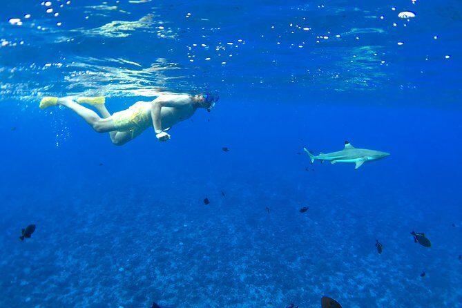 PRIVATE FULL DAY LAGOON TOUR - Bora Bora Cultural Lagoon Tour - Practical Details That Matter