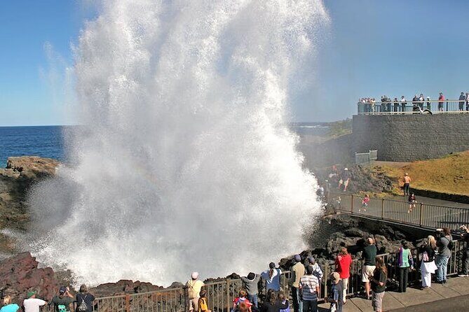 Private Full-Day Tour in Sydney - What Makes This Tour Stand Out