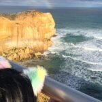 Private Great Ocean Road Local Experience - Who Is This Tour Best For?