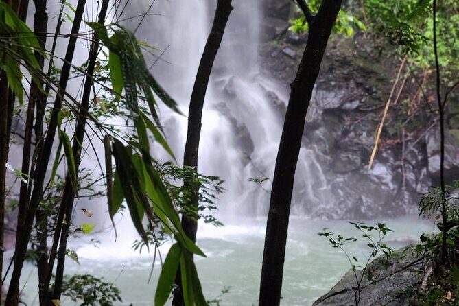 Private Guided Adventure in Nadi with Pick-up - Exploring the Tour Itinerary