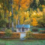 Private Guided Arrowtown and Surrounds Tour ex Queenstown - What to Expect