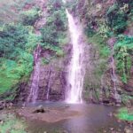 Private Half-Day  Papeete City & East Coast Nature - The Value of the Experience