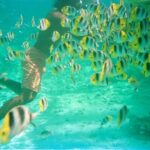 Private Half Day Sailing Excursion on the Lagoon of Tahiti - The Captain & Guides