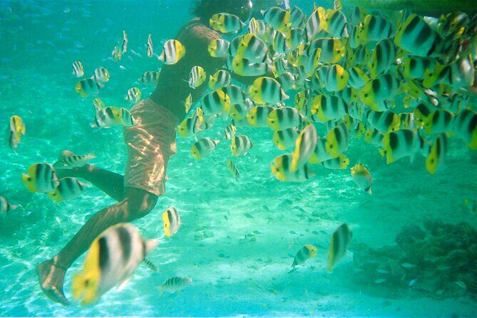 Private Half Day Sailing Excursion on the Lagoon of Tahiti - The Captain & Guides
