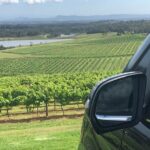 Private Hunter Valley Luxury Tour From Sydney - Hunter Valley Vineyards and Tastings: A Curated Selection
