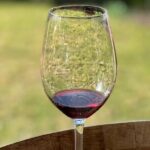 Private Hunter Valley Wine Day Tour from Sydney luxury Mercedes - An In-Depth Look at the Hunter Valley Private Tour