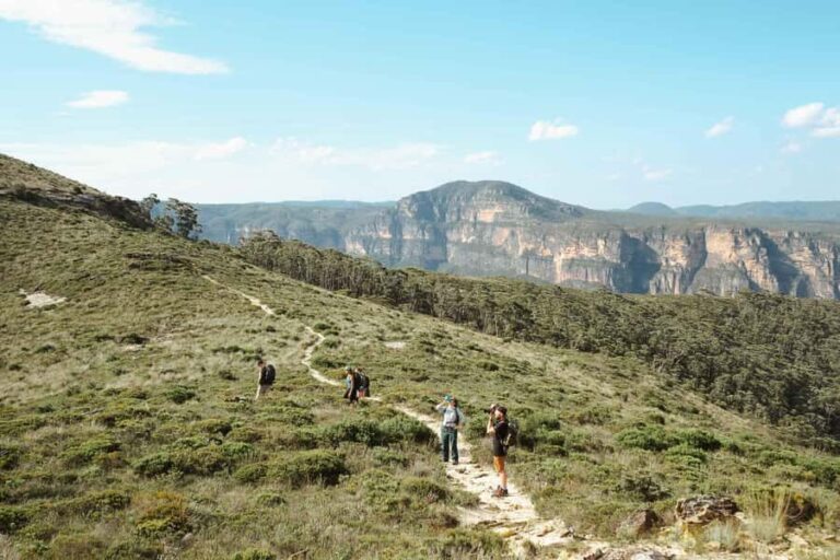 PRIVATE LUXURY BLUE MOUNTAINS ADVENTURE | FROM SYDNEY - Who Should Consider This Tour?
