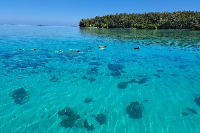 Private Marine Excursion and snorkeling in the lagoon of Moorea - FAQ