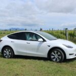 Private Martinborough Wine Tour in an Electric Vehicle - Tesla Model Y - Why This Tour Works