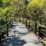 Private Nadi Temple Tour - Why This Tour Makes Sense for You