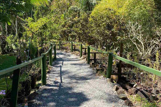 Private Nadi Temple Tour - Why This Tour Makes Sense for You