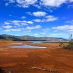 Private One Day Tour through The Deep South - In-Depth Review of the Tour Experience