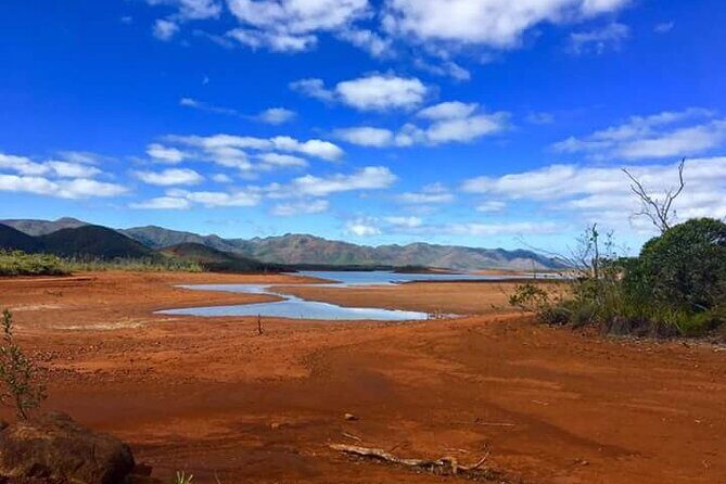 Private One Day Tour through The Deep South - In-Depth Review of the Tour Experience