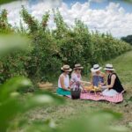 Private Picnic Lunch Experience in Orange with Wine - The Experience in Detail
