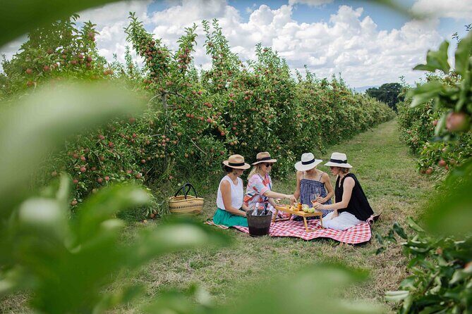 Private Picnic Lunch Experience in Orange with Wine - The Experience in Detail