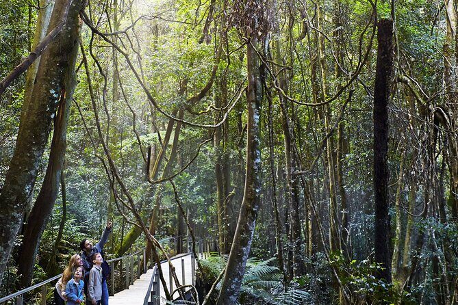 Private Small Group Tour in Blue Mountains - The Experience of Travel