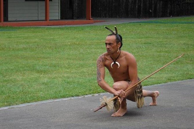 Private Tauranga Day Trip - Te Puia Geysers. A Volcanic Landscape - Walking Amongst Giants: Redwoods, Whakarewarewa Forest
