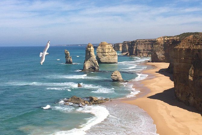 [PRIVATE TOUR] 12 Apostles | Great Ocean Road | Day Trip - Transport & Comfort: Making the Long Day Comfortable