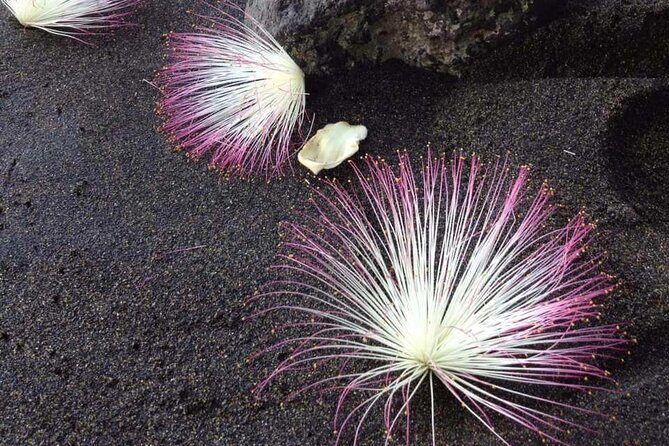 Private Tour of Tahiti's East Coast 3hours - FAQs