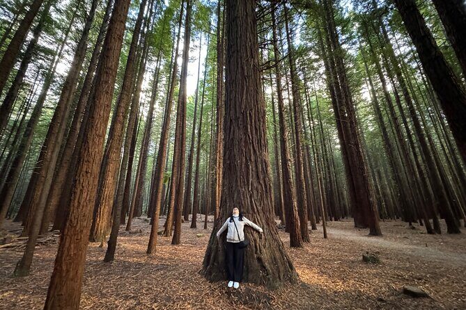 Private Tour: Rotorua Adventure, Kiwi Hatchery & Mori Culture - What’s Included and Practicalities