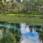 Private Tour Rotorua + Blue springs + WaiOtapu + Redwood forest - A Deep Dive Into the Itinerary