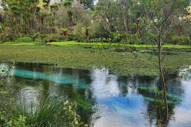 Private Tour Rotorua + Blue springs + WaiOtapu + Redwood forest - A Deep Dive Into the Itinerary