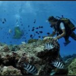 Private Tour: Underwater Scooter Bora Bora - The Itinerary in Detail