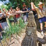 PRIVATE TRANSFER Cairns Airport  Port Douglas Minibus (6am-5pm) - Starting the Journey: Why Choose a Private Transfer?