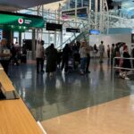 Private Transfer From Auckland Airport To West Auckland - What to Expect During Your Transfer