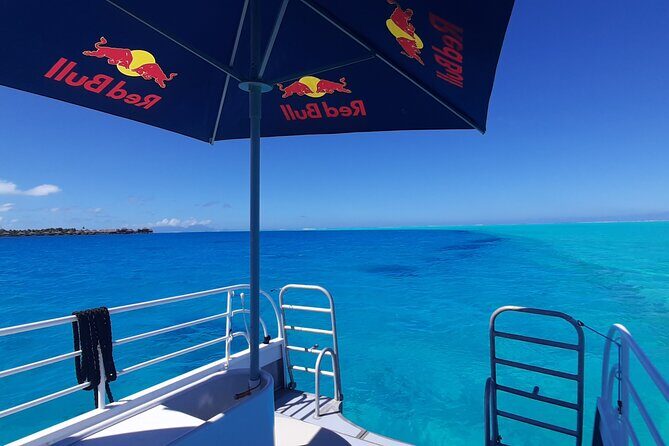 Private Underwater Excursion in the Bora Bora Lagoon - What is the Bora Bora Underwater Excursion?