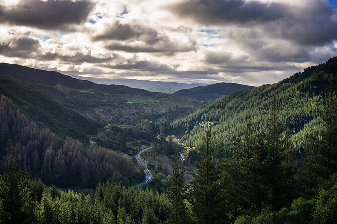 Private VIP Hawkes Bay Geothermal Hot Pools Hike - Final Thoughts: Is This Tour Worth It?
