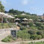 Private Waiheke Food & Wine Tour - The Sum Up: Is the Private Waiheke Food & Wine Tour Worth It?