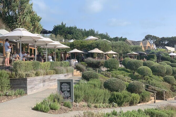 Private Waiheke Food & Wine Tour - The Sum Up: Is the Private Waiheke Food & Wine Tour Worth It?