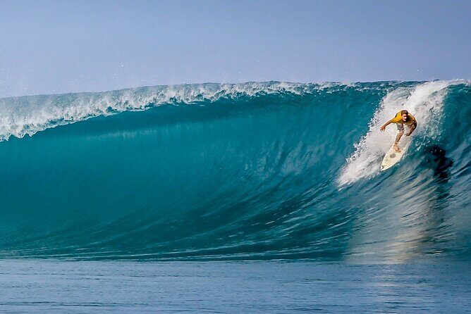 Private Whale Outing on the Tahiti Peninsula - Why This Tour Offers Real Value