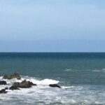 Private Wine Gourmet and Scenic Delights Tour from Picton - Why This Tour Works Well for Different Travelers