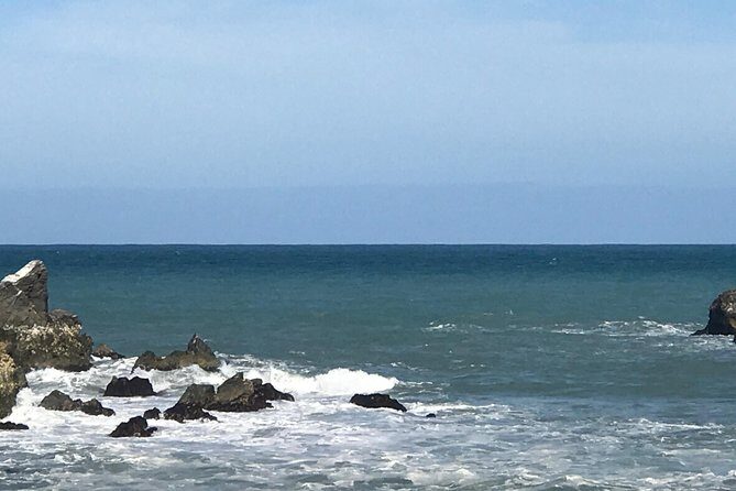 Private Wine Gourmet and Scenic Delights Tour from Picton - Why This Tour Works Well for Different Travelers