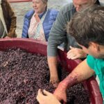 Private Wine Tasting Experience - What’s Included and What’s Not