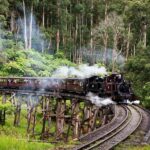 Puffing Billy, Healesville Sanctuary & Chocolatier - Wildlife Adventures at Healesville Sanctuary