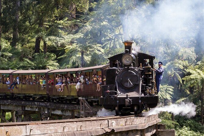Puffing Billy Train and Phillip Island Penguin Parade Day Tour - Transportation, Timing, and Group Size