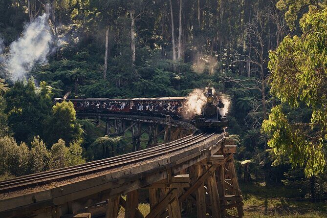 Puffing Billy Train&Healesville Sanctuary&Yarra Valley Wine Tour - Transportation and Group Size