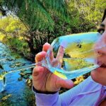 Queen Charlotte Track - Ultimate one Day Walk and Cruise - Why This Tour Offers Great Value