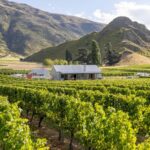 Queenstown, Arrowtown, Gibbston: Flexible Wine Hopper Tours - Who Will Love This Tour?