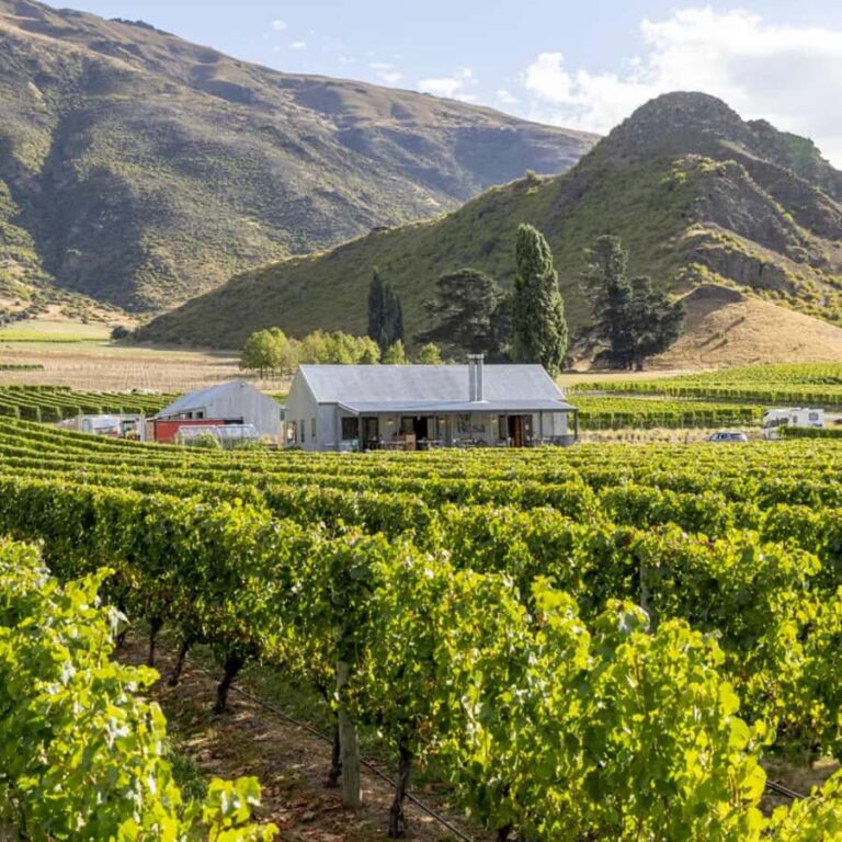 Queenstown, Arrowtown, Gibbston: Flexible Wine Hopper Tours - Who Will Love This Tour?
