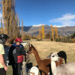 Queenstown: Guided E-Bike Tour with Winery Visits & Tastings - The Route and Its Highlights