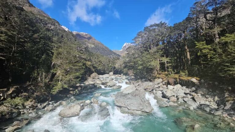 Queenstown: Routeburn Track Guided Full-Day Walk or Half Day - Detailed Itinerary Breakdown