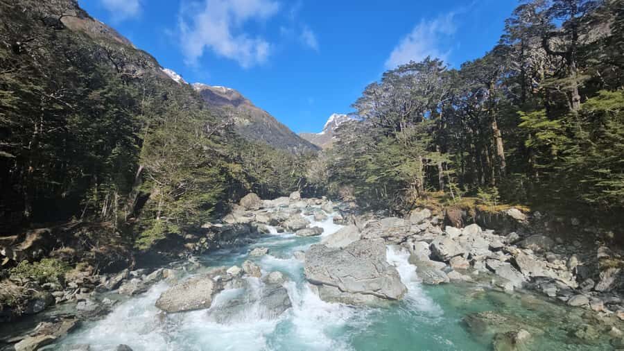 Queenstown: Routeburn Track Guided Full-Day Walk or Half Day - Detailed Itinerary Breakdown