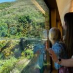 Queenstown to Dunedin with Taieri Gorge Train One-Way Tour - Practical Details and Considerations